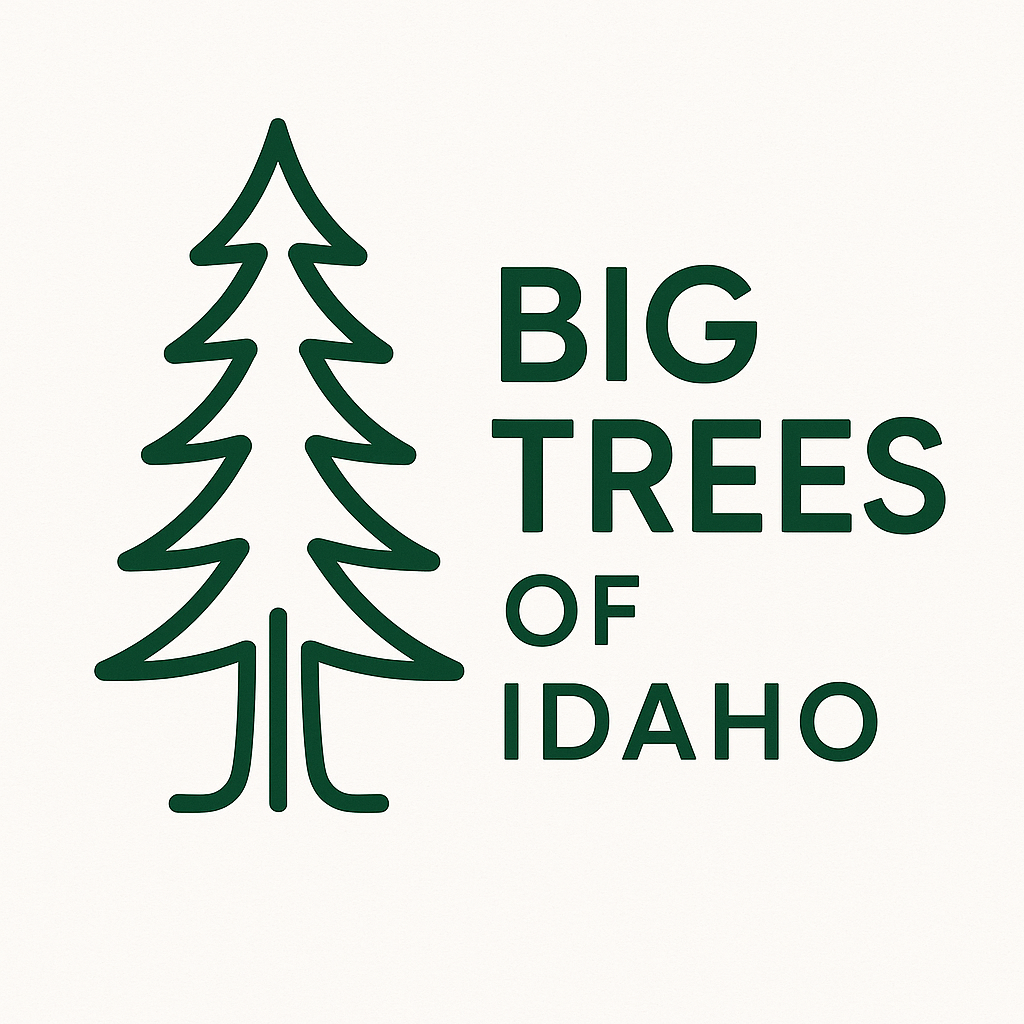 About Big Trees of Idaho: Premier Specimen Trees